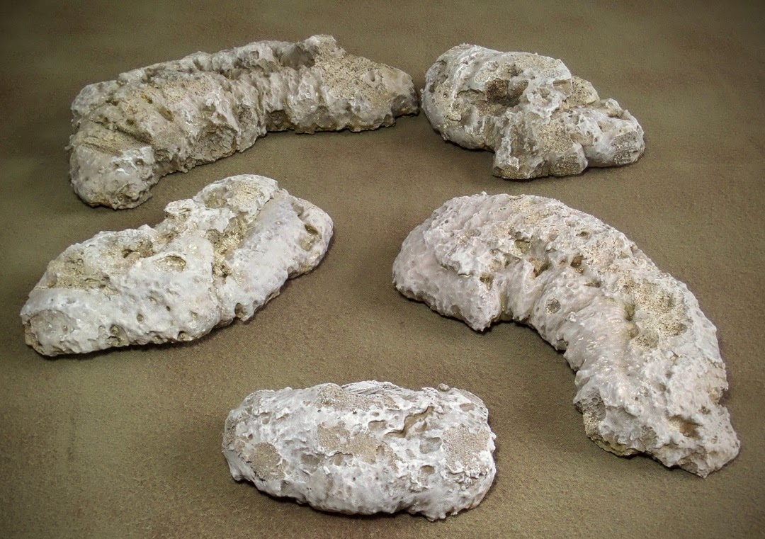 Nord's Painting Saga: Rocky Outcrops