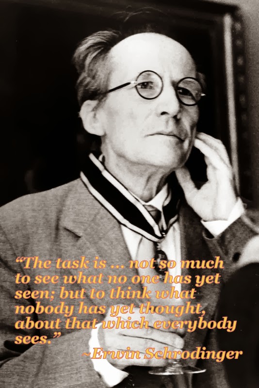 Engineering Quote of the Week - Erwin Schrödinger - An Engineer's Aspect