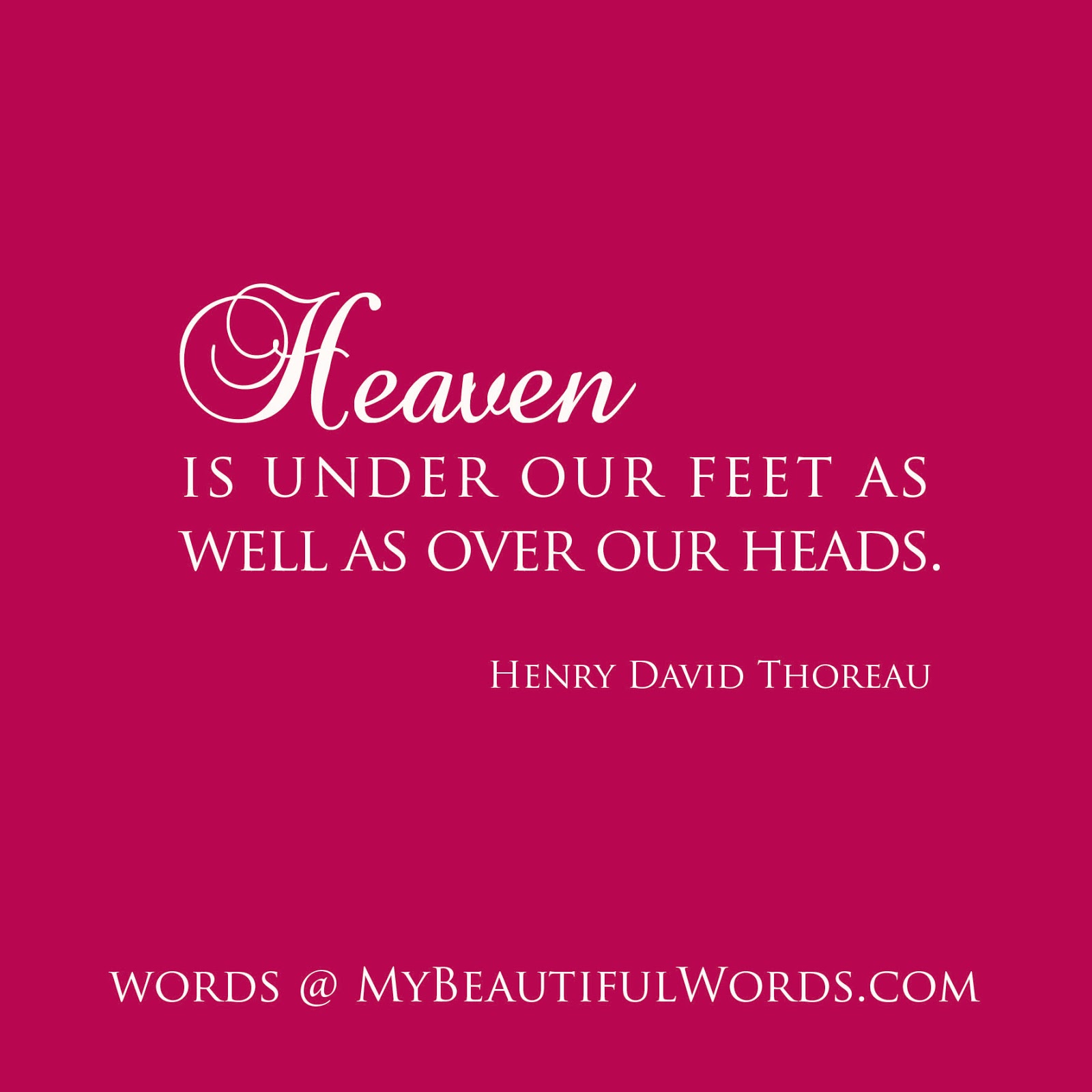 My Beautiful Words.: 2012