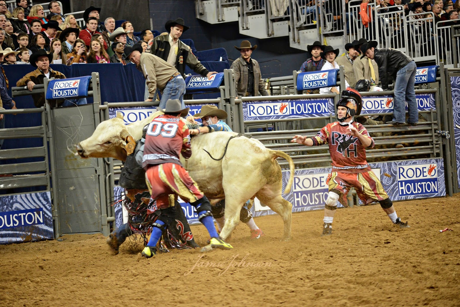 JAMIE JOHNSON -Photographer: Humble Kingwood Houston Dallas TX Cowboy ...