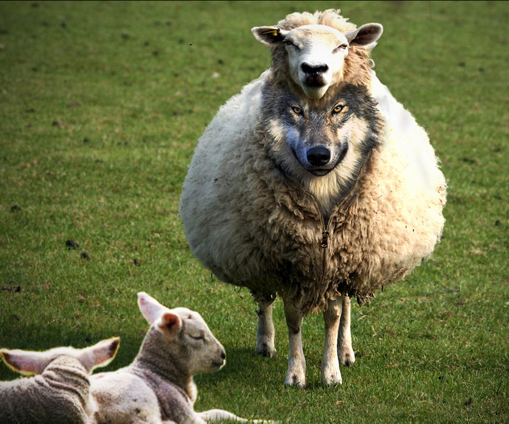 Catedral da Salvação: Palavra De Alerta - Os Lobos com pele de Ovelha