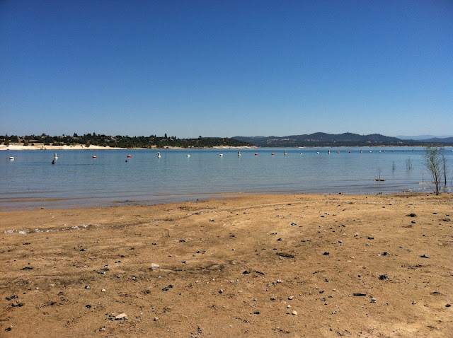 Scott Hopper's blog: FOLSOM LAKE BEAL POINT SWIMMING
