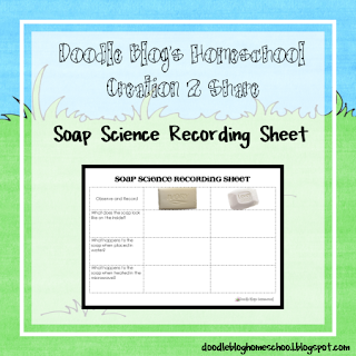 Doodle Blog Homeschool: Hands on Science - Expanding Soap