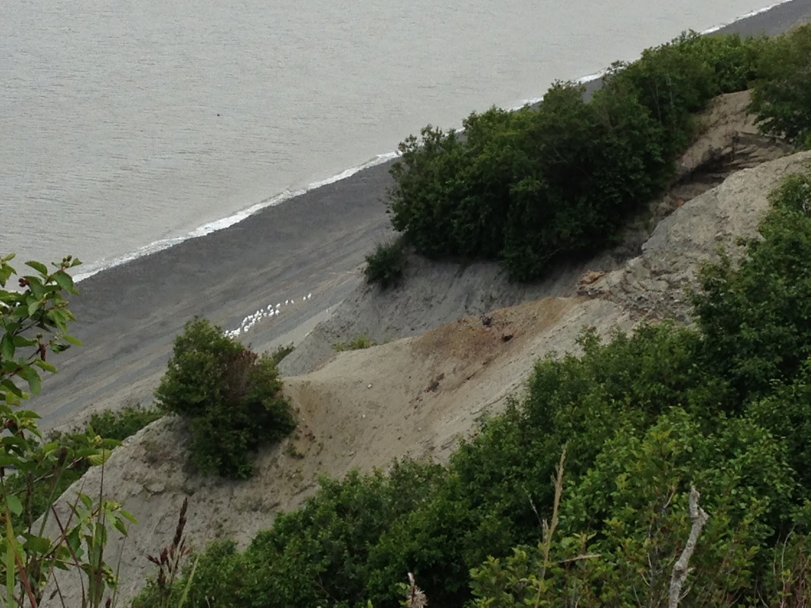 Two Many Adventures: Ninilchik, Alaska and Volcano Alley along the Cook ...