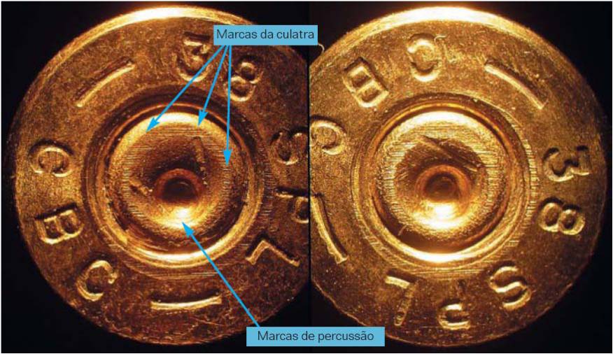 Bio-Trabalho: Ciências Forenses - Parte III