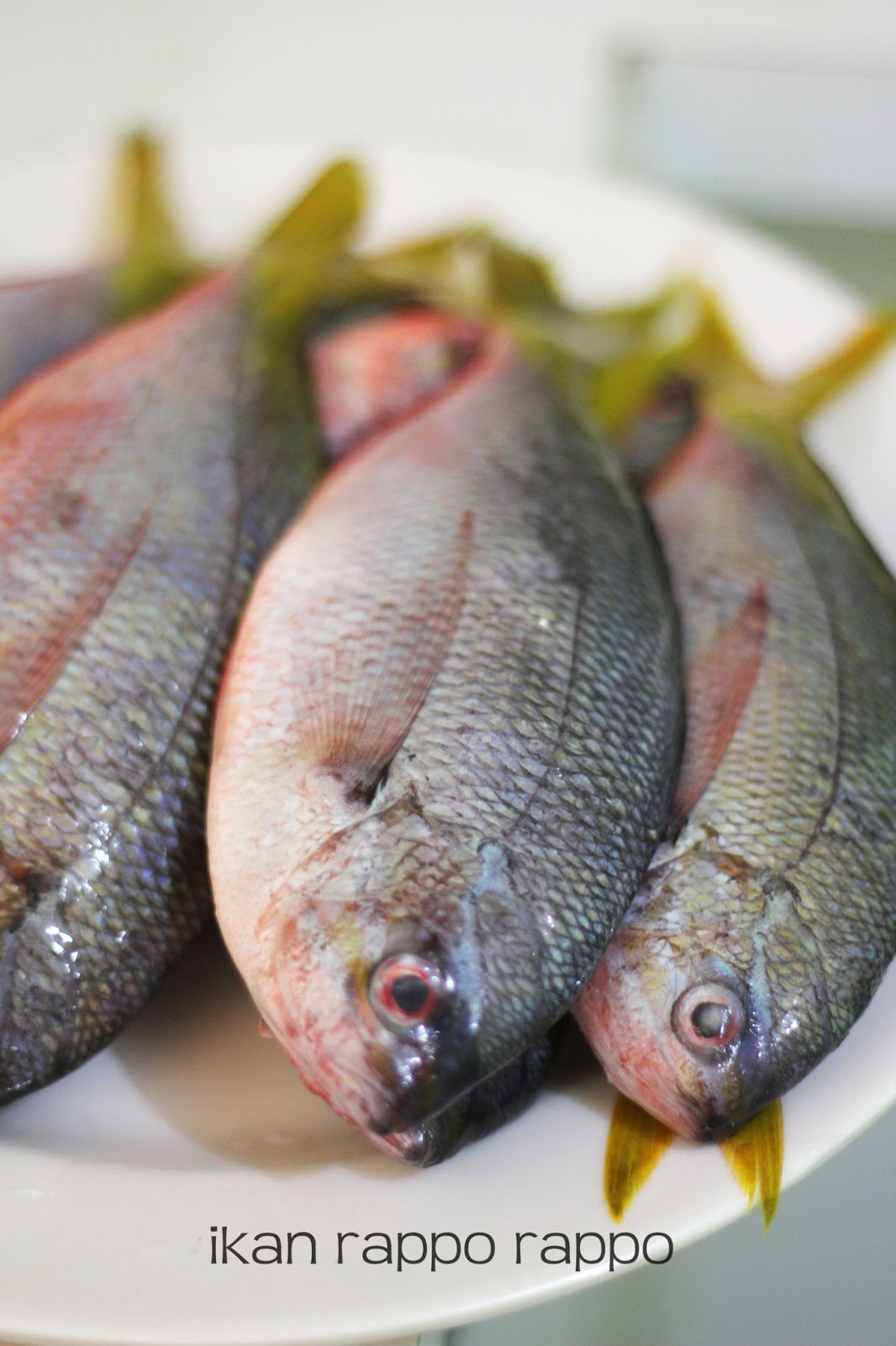 HESTI'S KITCHEN : yummy for your tummy: Pesmol Ikan Rappo Rappo