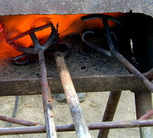 24 City News: Medieval Medical Treatments