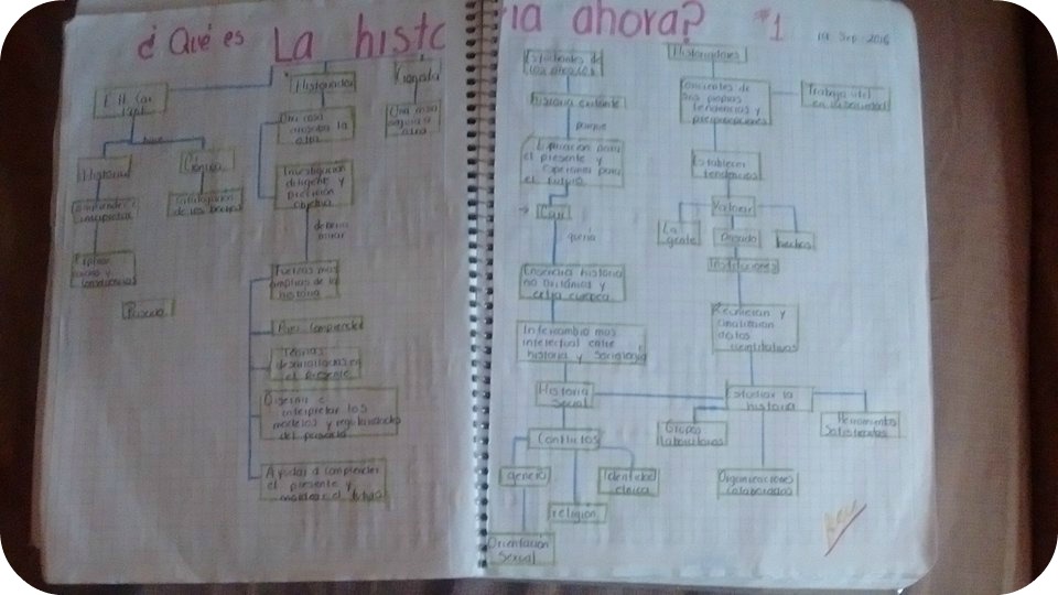 ORGANIZADOR GRÁFICO ¿Qué es la historia ahora? ~ Educación histórica en ...