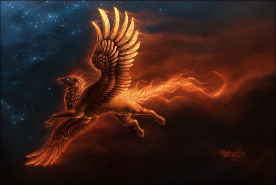 Wallpaper Hewan Dengan Elemen Api | iniwallpaperkami