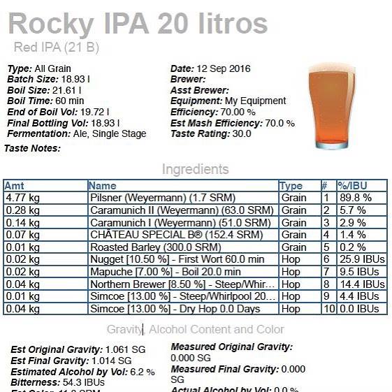 Cervezal: Rocket IPA de NuevoOrigen