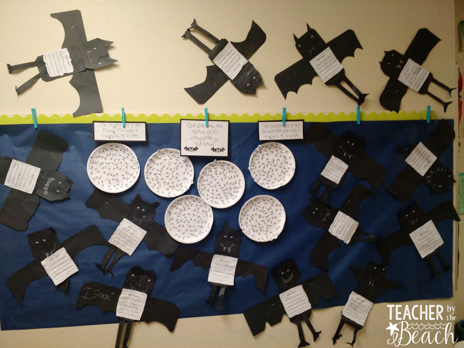 Bat Week - Teacher by the Beach