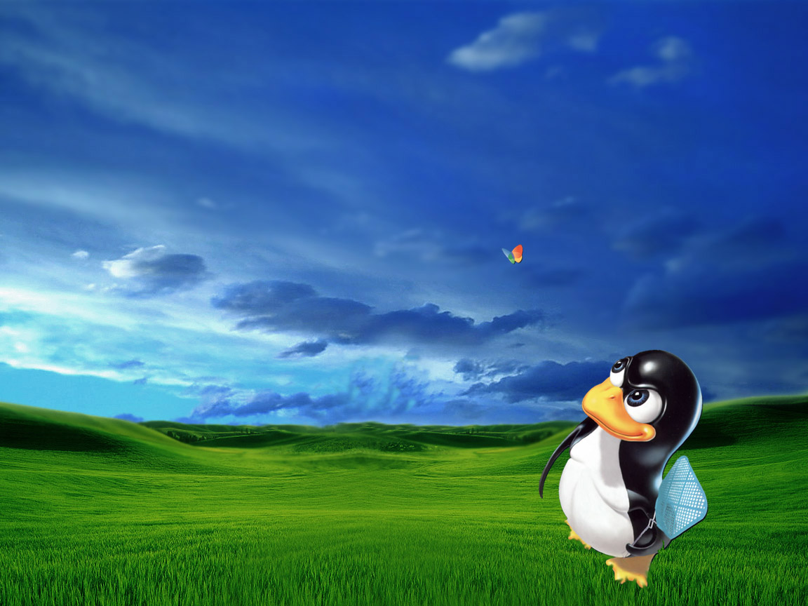 Real Wallpapers: Linux VS Windows Wallpaper