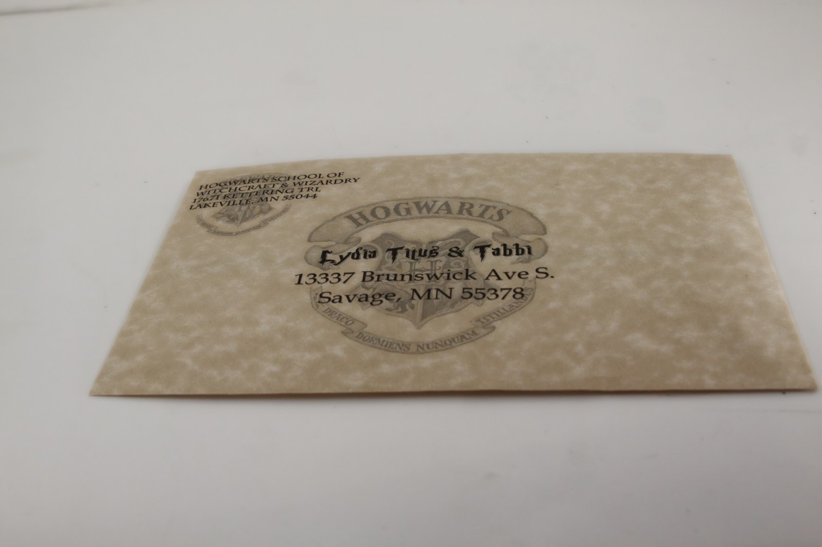 I Do On A Dime: Harry Potter Party