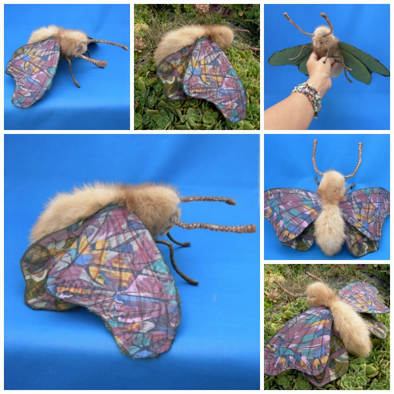 Designed By Kathy Myers: Giant Mink Moth