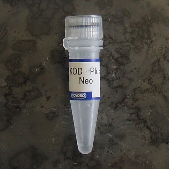 ゲノ研: PCR用酵素 その2