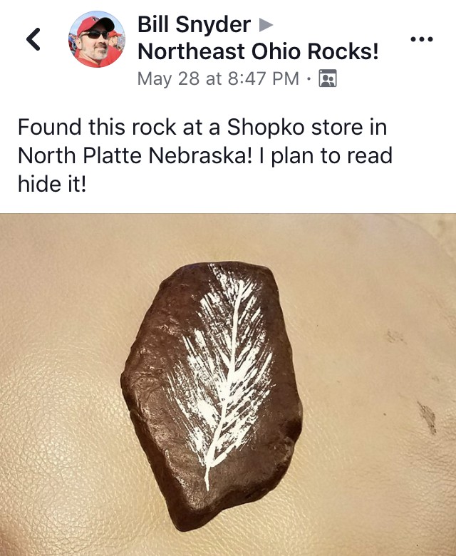 Northeast Ohio Rocks!: Northeast Ohio Rocks! in all 50 States Volume 5