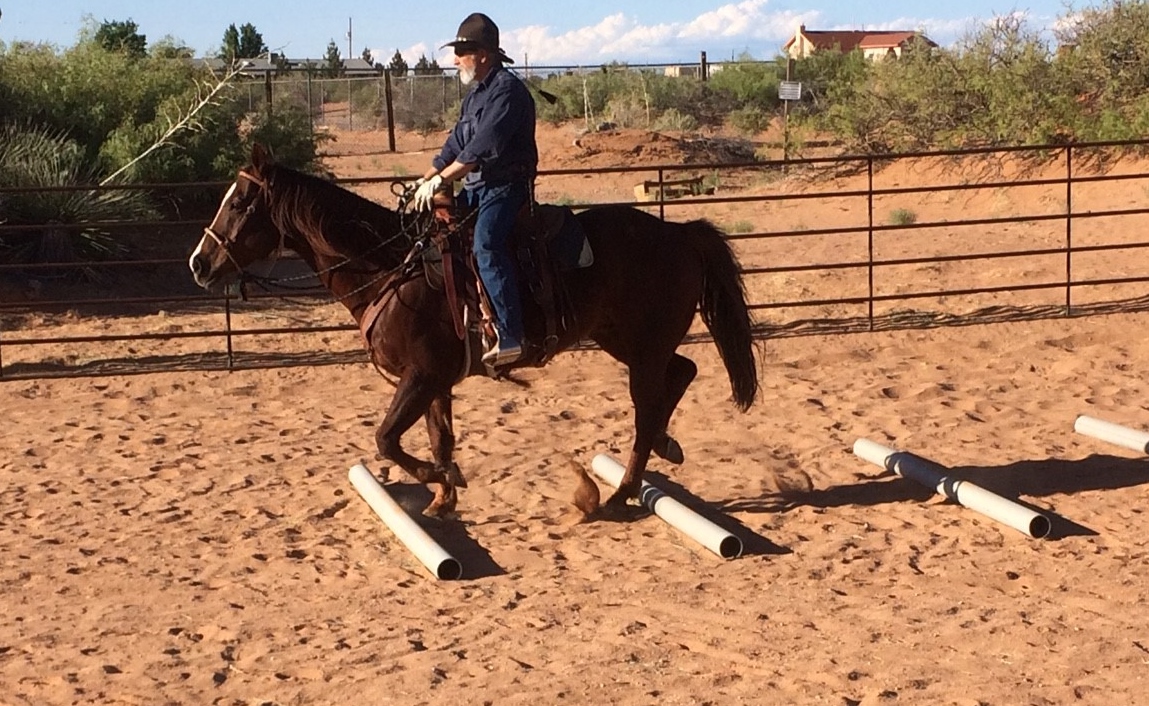 Functional Horsemanship: Arena Obstacles: Ground Poles