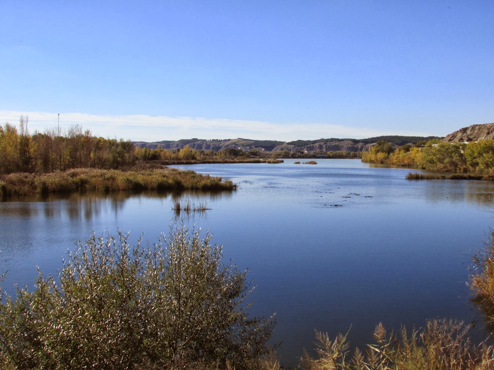 De campo por el Parque regional del sureste madrileño: Paseo otoñal y ...