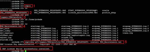 SAP BASIS Crew: Install SAP license at OS level