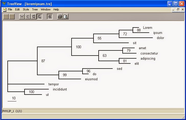 PhyloBotanist: Comparison of phylogenetic tree viewing programs: TreeView, FigTree, Dendroscope
