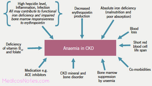 Uremia In Esrd