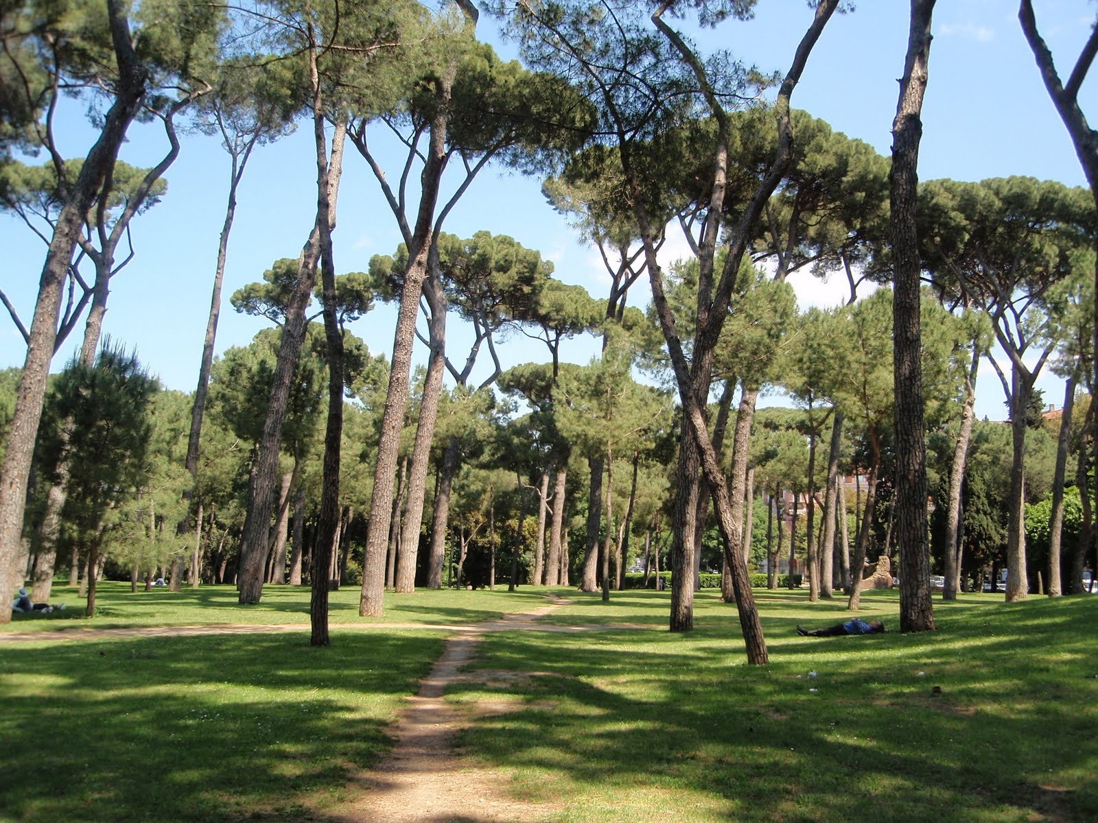 Become More: Italy and beyond: Roma : Art and Pincio