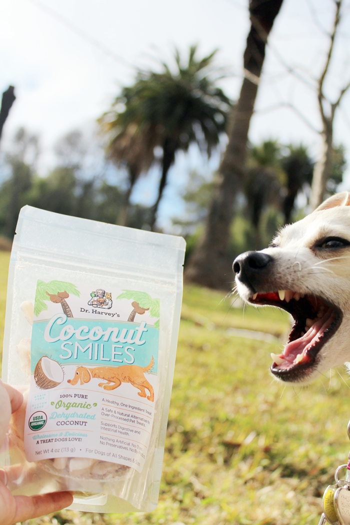 HAPPYHAZEL: Happy Smiles for Dr. Harvey's Coconut Smiles! Chewy.com ...