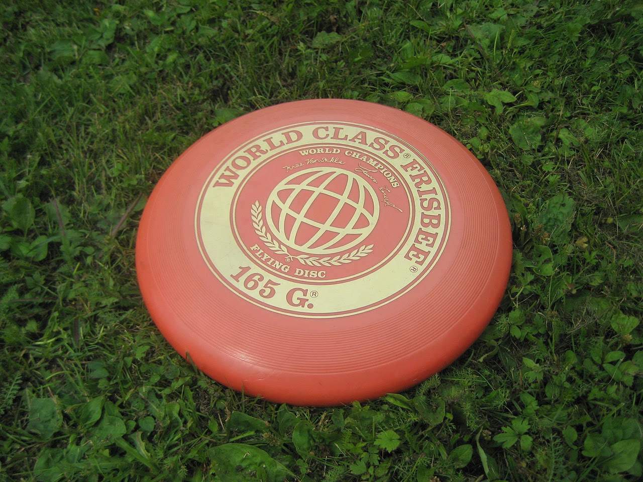 New haven fun facts : Frisbees! ~ SeedYourBrain