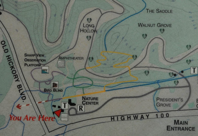 Walking Through Autumn: Edwin Warner Park, Nashville, TN