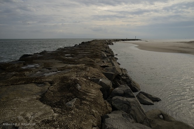 View from the Cape: Sea Ducks, Blue Mussels, and Jetties