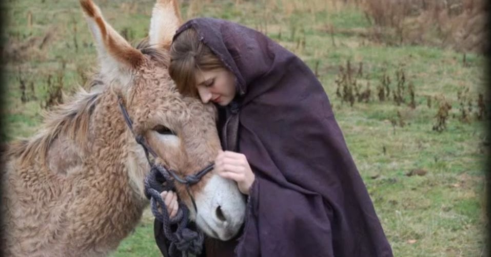 Exceptional Mediocrity: The Jerusalem Donkey Legend