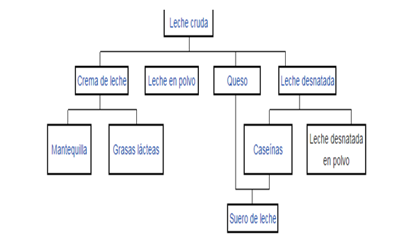 ARTEFACTOS DE APOYO A LA ELABORACIÓN DE PRODUCTOS LÁCTEOS: MAPAS CONCEPTUALES DE PRODUCTOS LÁCTEOS
