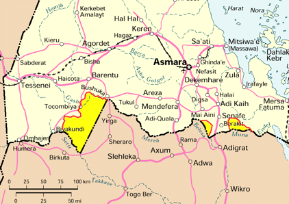 Lifelong Student: Badme, the Grave Yard of the Youth