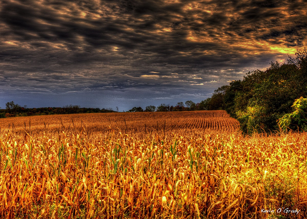 Native American Student Association UM: Fall Feast 2011