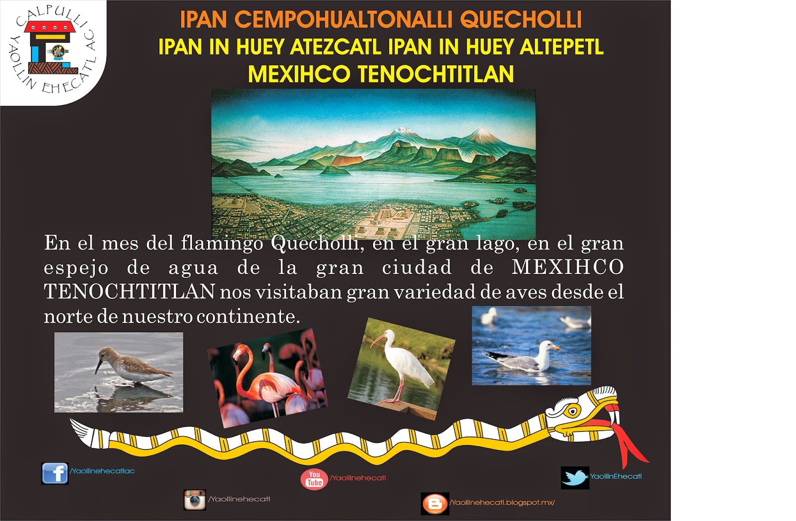 Yaollin Ehecatl A.C.