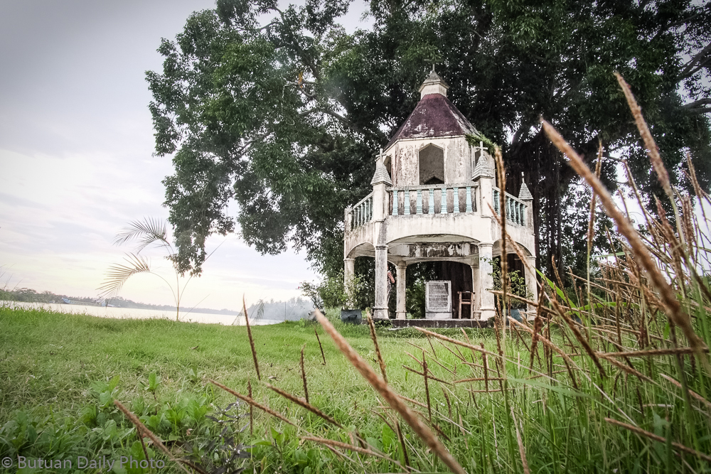Butuan Daily Photo: Banza Church Ruins # 3: The Balete Tree
