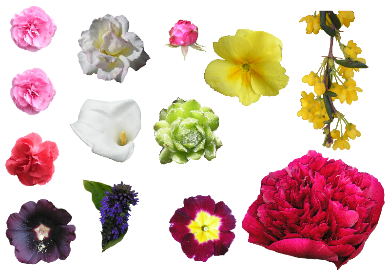 Mindependant: Serif Craft Artist DigiKits