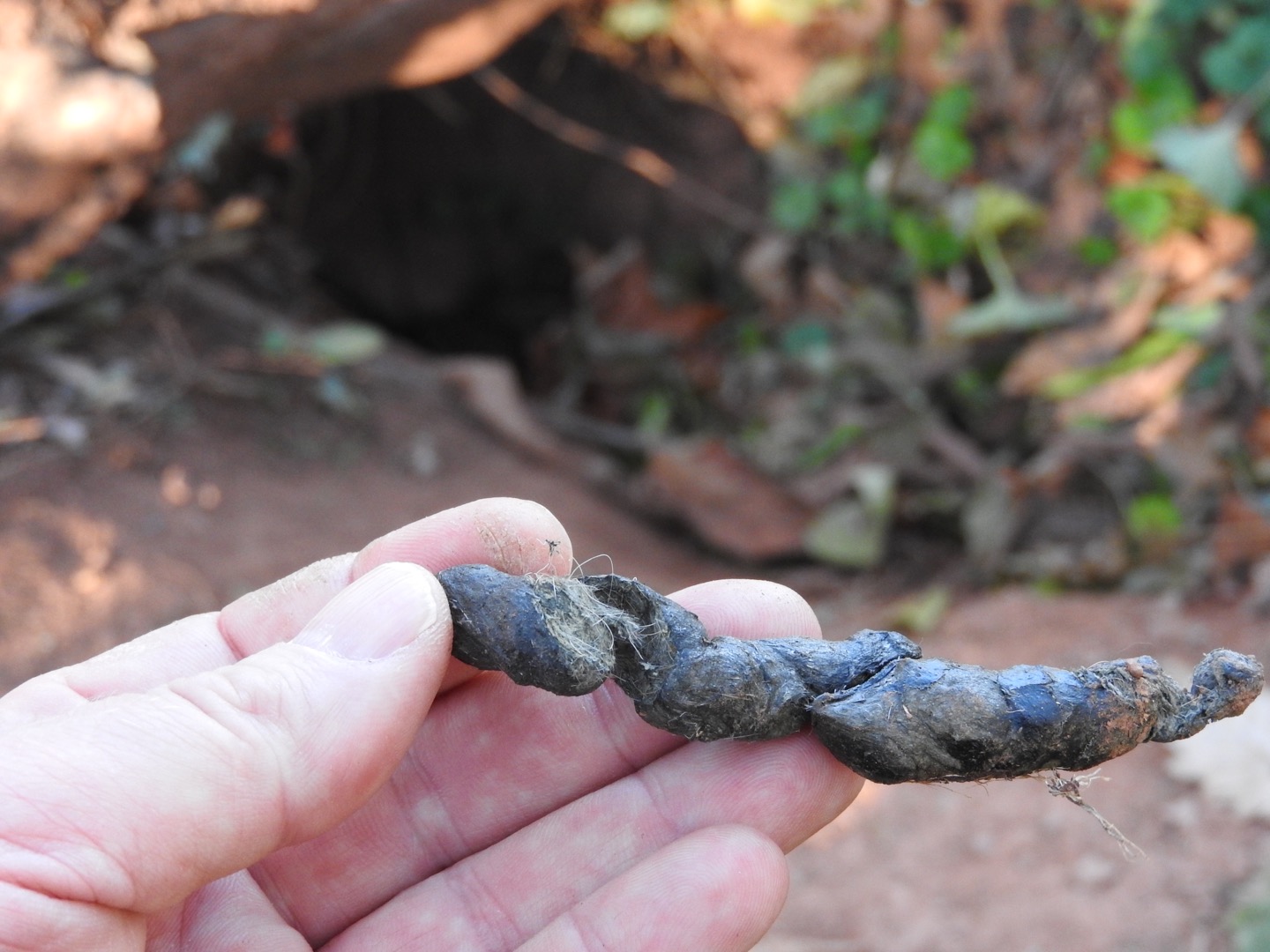 Terrierman's Daily Dose: Fox Den With Very Clear Sign