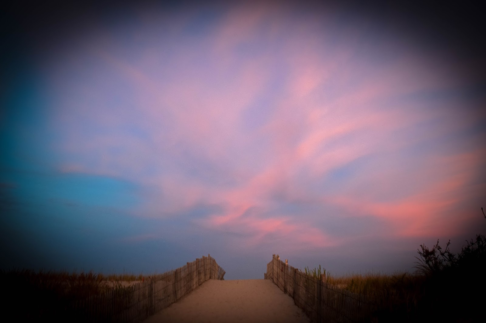 A fawn...and the sunset from bayside & oceanside