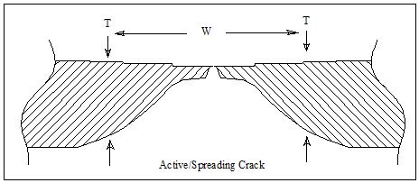 Antarctica : A Journey Over and Under the Sea Ice | Whale of a Time