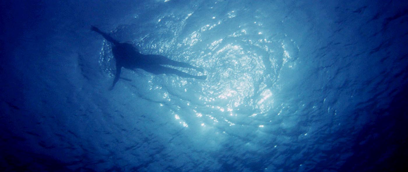 Ellie Row, Computer Animation Arts, UCA Rochester: Jaws, 1975