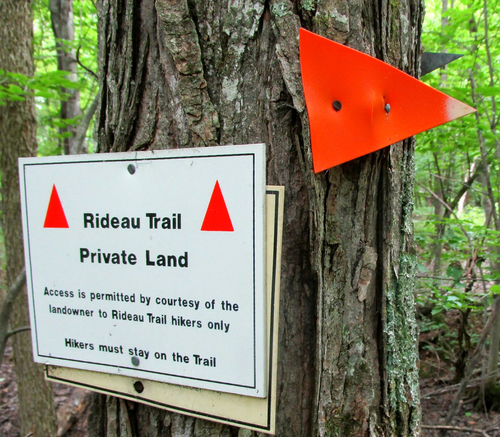 The Passionate Hiker: The Rideau Trail: Narrows Lock Road (09E+) to ...