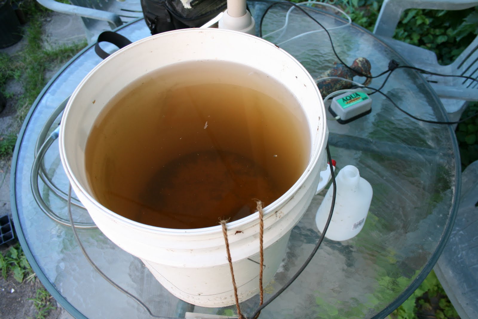 Brain Seeds: How to Brew Vermicompost Tea