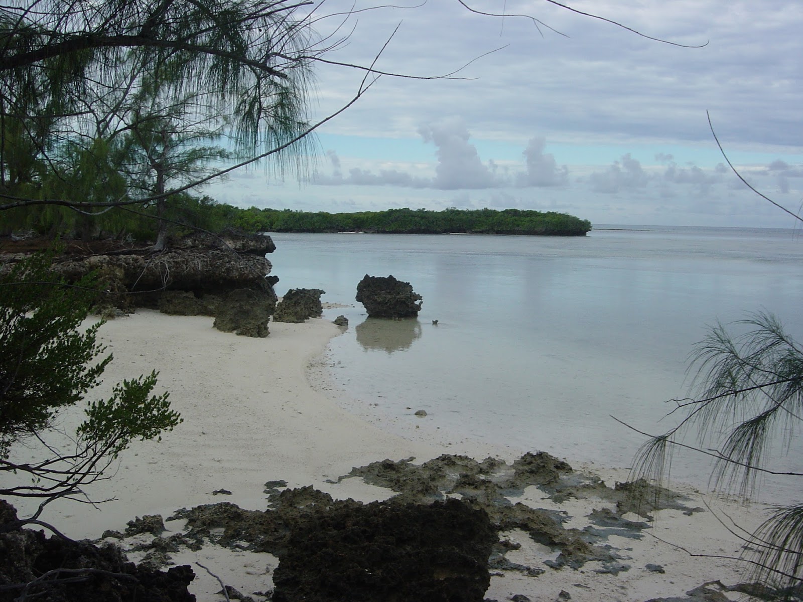 Unsorted pieces: Aldabra Atoll, Indian Ocean