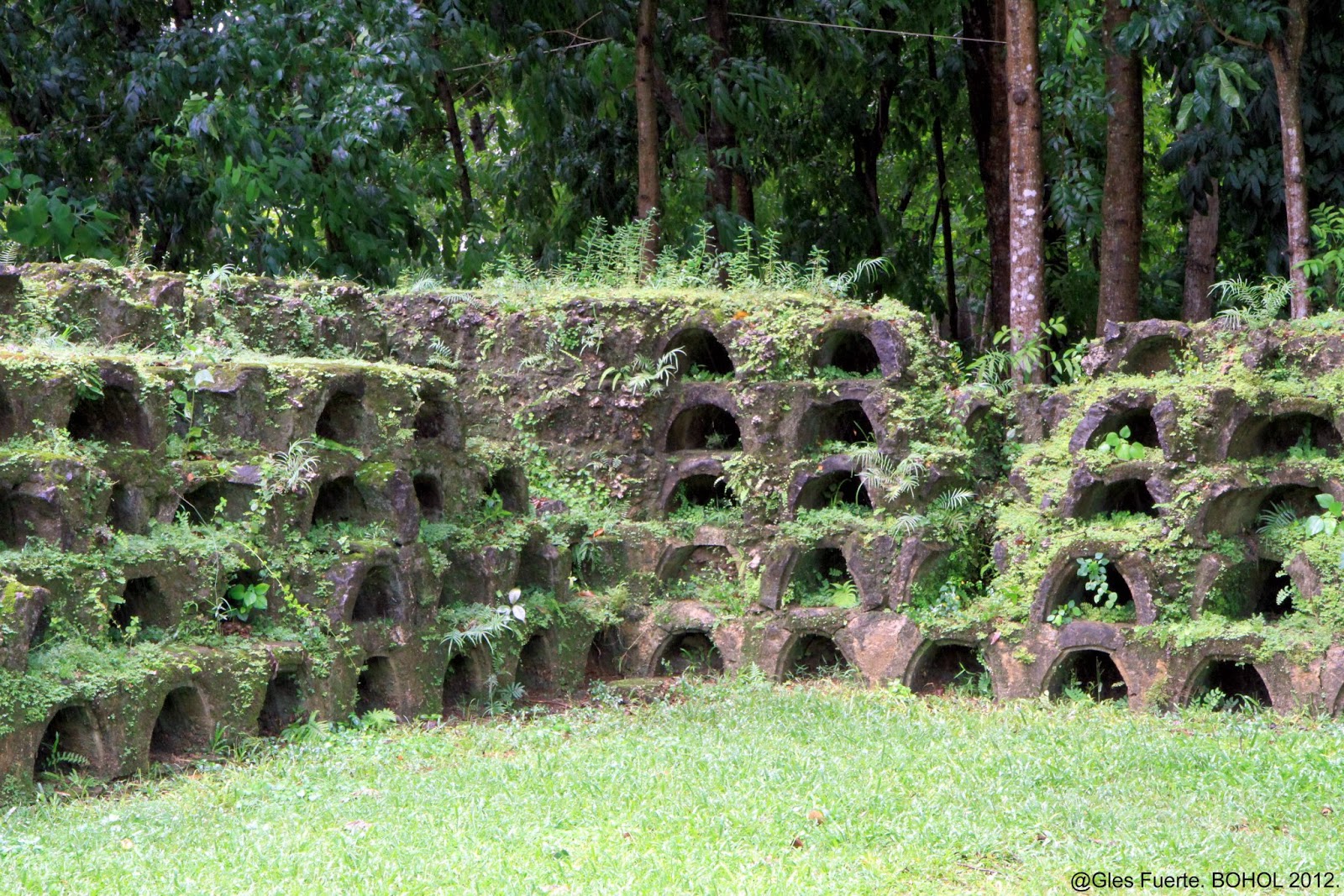 Explore.Dream.Discover: Exploring Southern Bohol