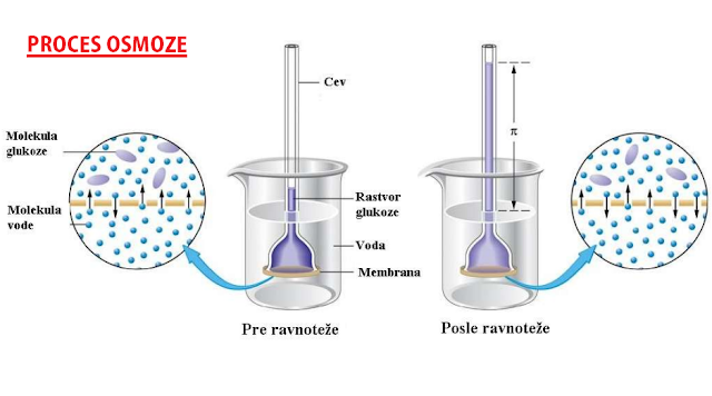 VIRTUELNA HEMIJA: OSMOZA