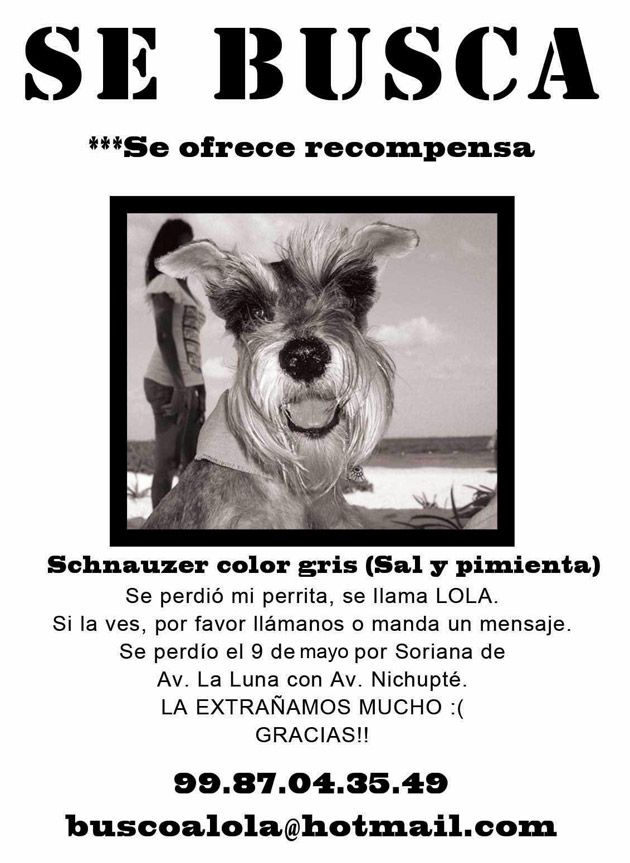 Señora Speedy: May 2016