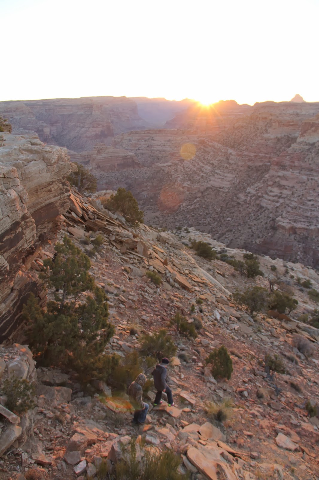 Beit Emmett: The Wedge