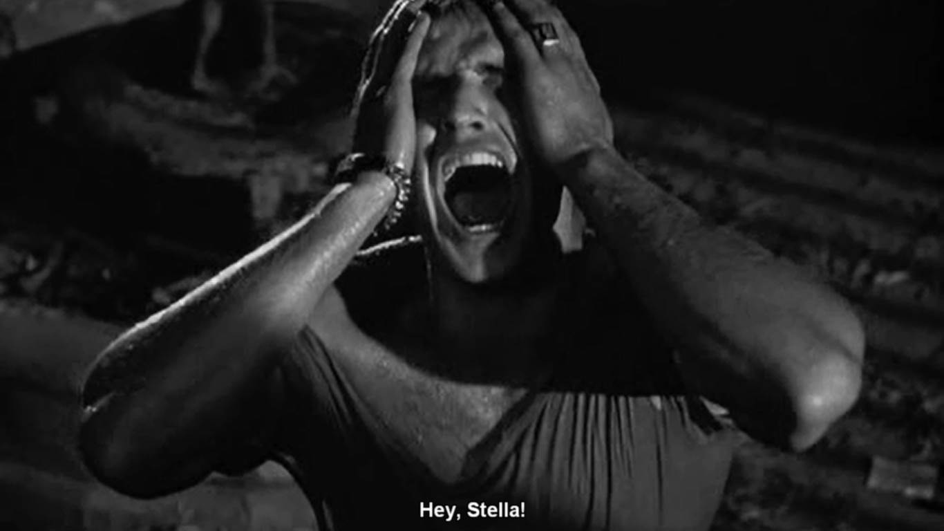 WILB: The world is screaming STELLA!! [Part I]