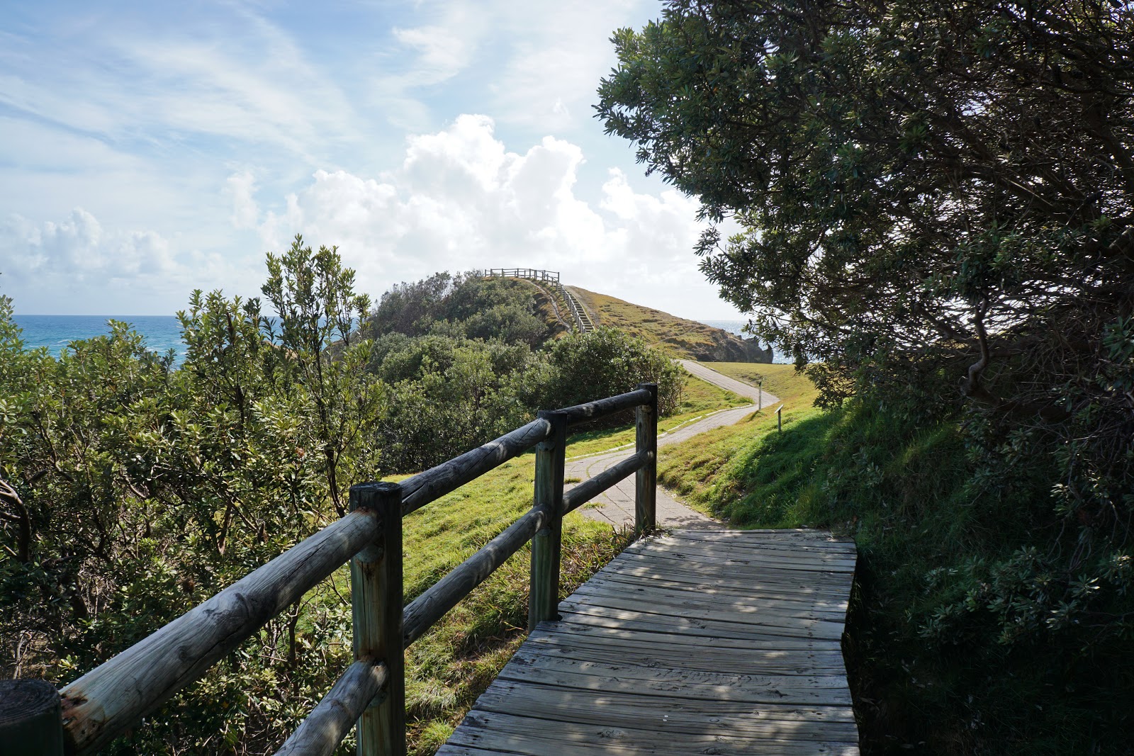 Cape Byron Walking Track (Cape Byron State Conservation Area) ~ The ...